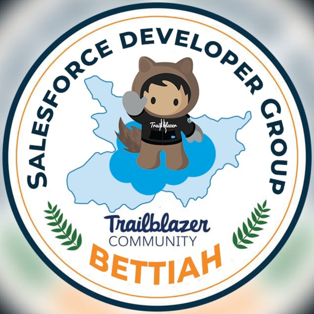 Trailblazer Community Salesforce Developer Group, Bettiah, India
